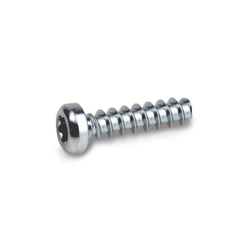 REMFORM® screw Pan head TORX® PLUS | Screw for plastic | RF81TP
